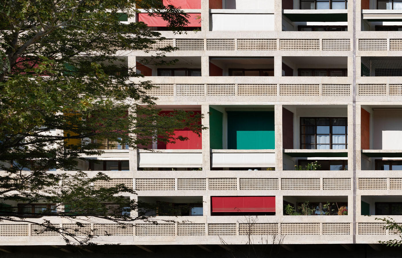 Duplex de type E prolongé - Architecture de Collection